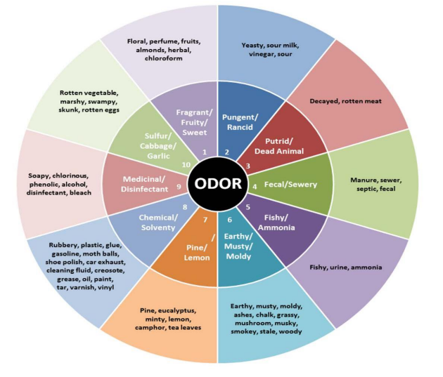 Does Your Water Smell Off? Use This Guide to Identify the Odor – EcoPure